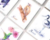 Bird Flash Cards Classroom Alphabet Cards Wedding Table - Etsy