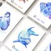 ABC Flash Cards Sea Creatures Alphabet Ocean Animals Watercolor ...