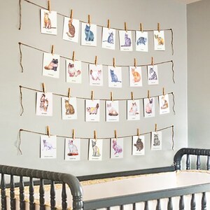 Cats Alphabet Cards Cat Breeds Cards Set, Cat Painting Watercolor - Etsy