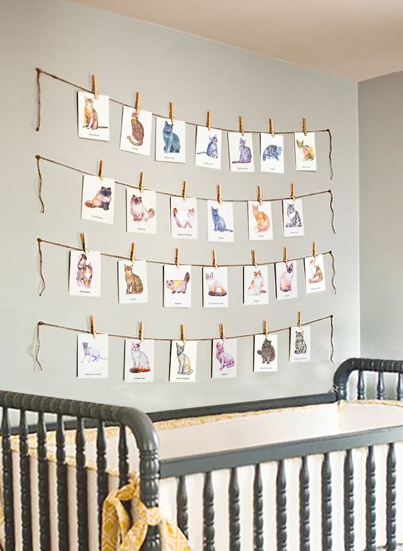 Cats Alphabet Cards Cat Breeds Cards Set Cat Painting - Etsy