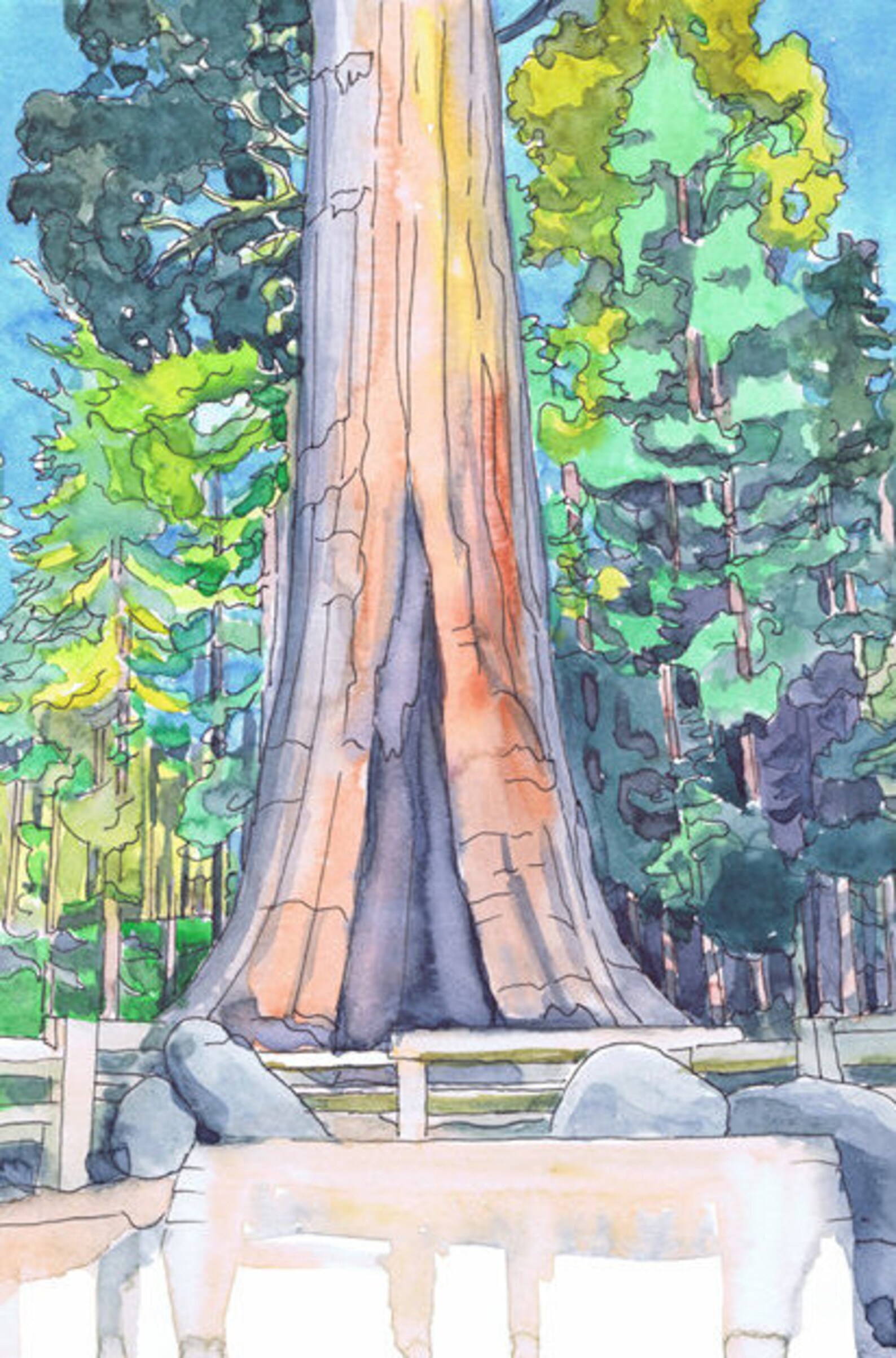 Sequoia National park Art Travel Poster Watercolor Painting | Etsy