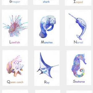 ABC Flash Cards Sea Creatures Alphabet Ocean Animals Watercolor ...