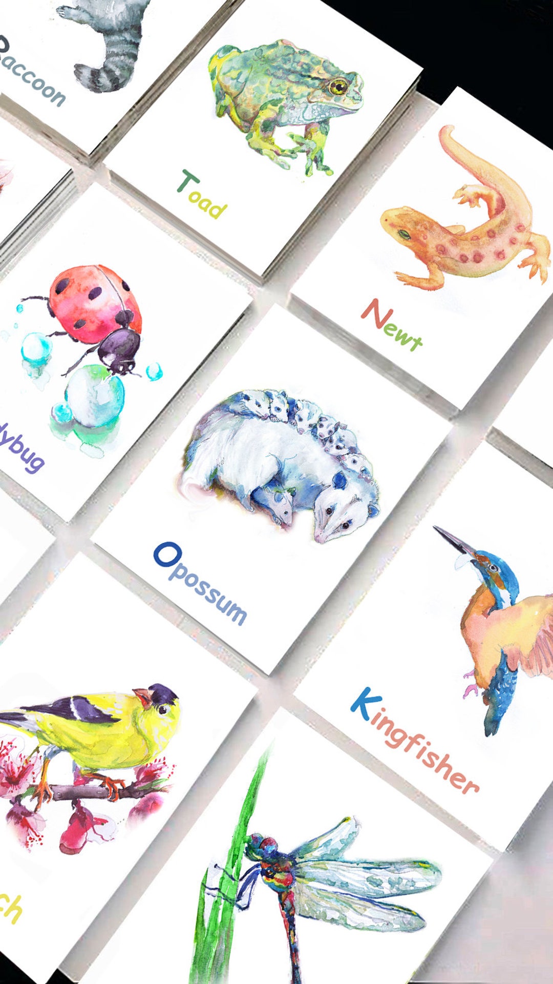 Woodland Animals Alphabet Flash Cards: Watercolor ABC Cards - Etsy