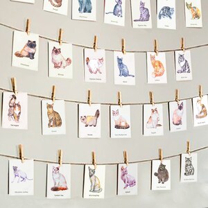 Cats Alphabet Cards Cat Breeds Cards Set, Cat Painting Watercolor - Etsy