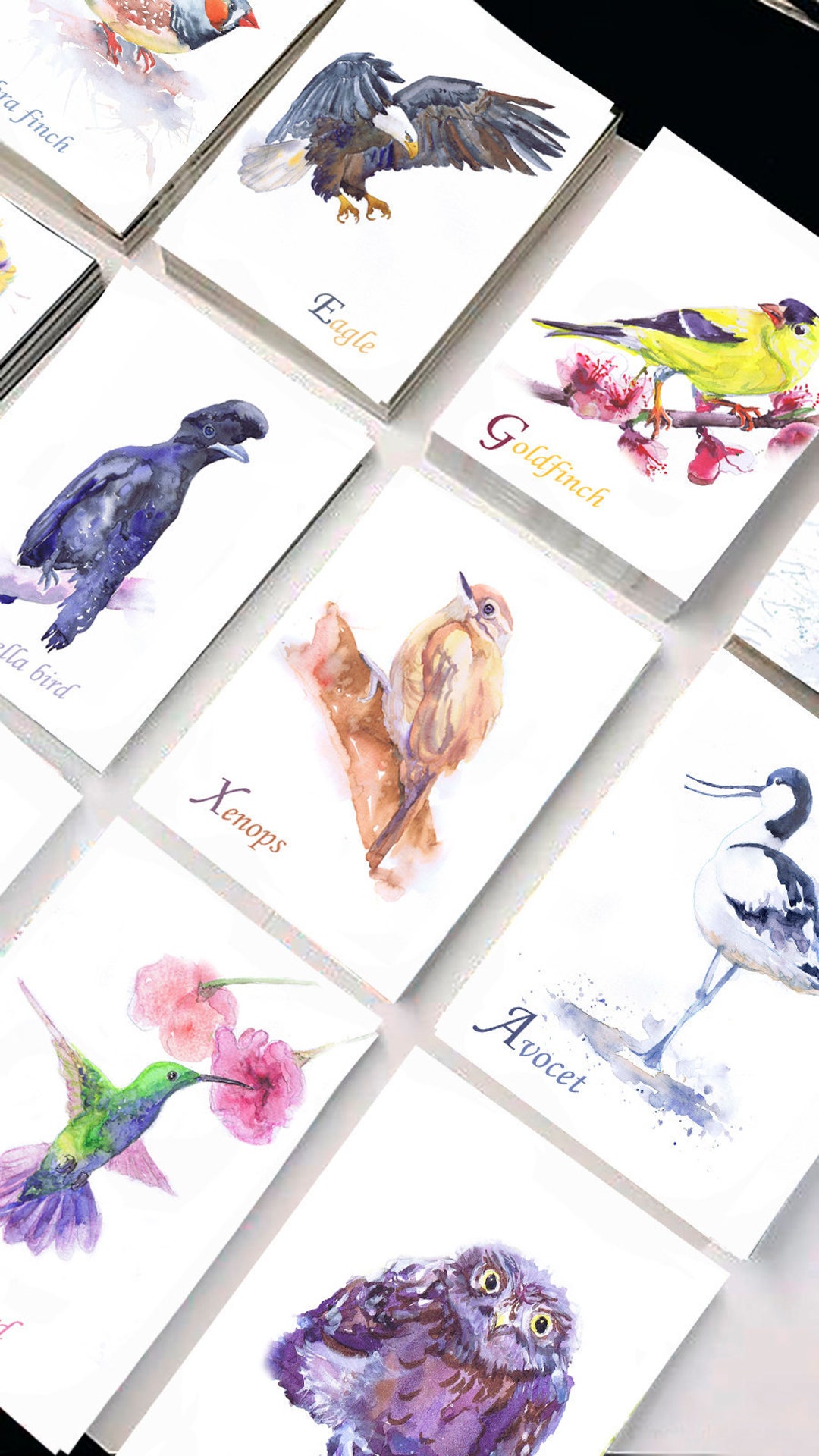 Bird Flash Cards, Classroom Alphabet Cards, Wedding Table Cards ...