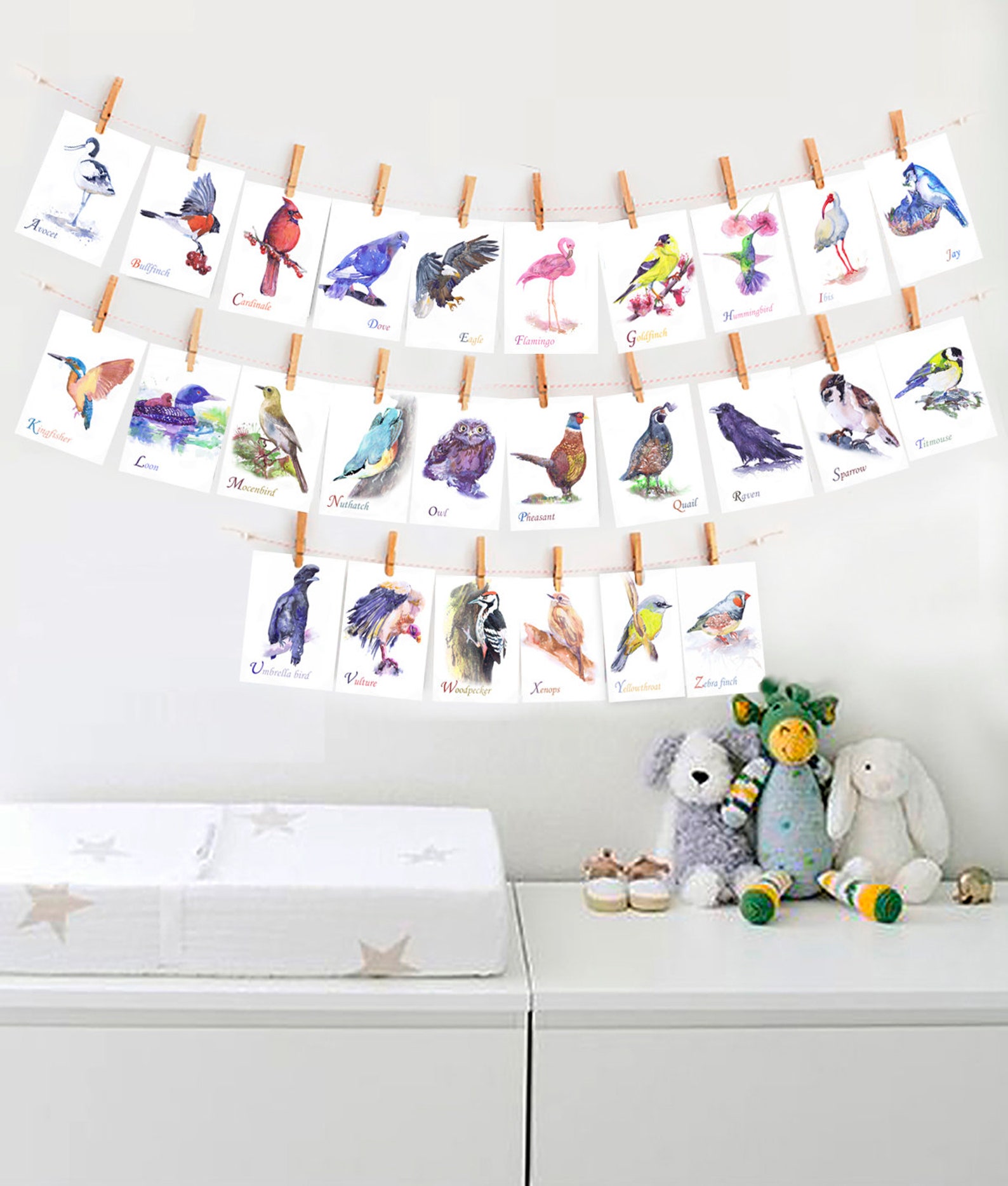 Bird Flash Cards Classroom Alphabet Cards Wedding Table - Etsy UK