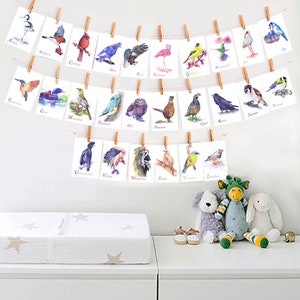 Bird Flash Cards, Classroom Alphabet Cards, Wedding Table Cards ...