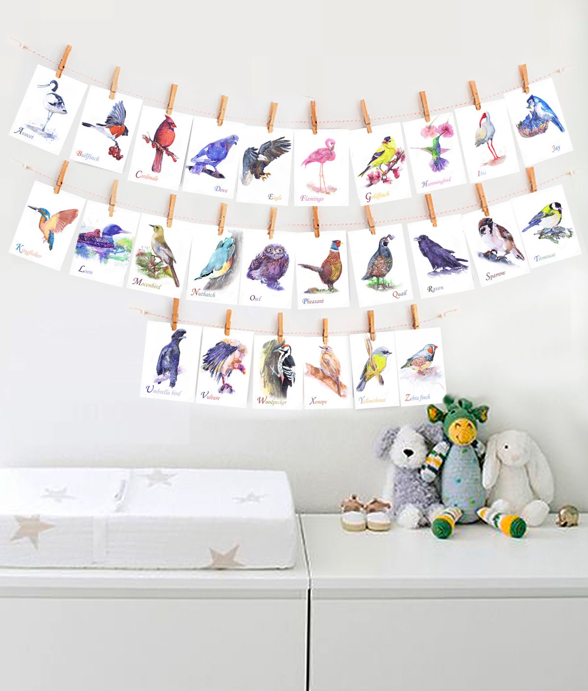 Bird Flash Cards Classroom Alphabet Cards Wedding Table - Etsy UK