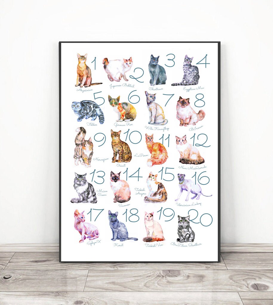 Cat Breeds Alphabet Poster: Watercolor Nursery Wall Art - Etsy