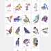 Bird Flash Cards, Classroom Alphabet Cards, Wedding Table Cards ...