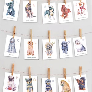 ABC Flash Cards Dog Breeds Alphabet, Animals Watercolor Painting ...