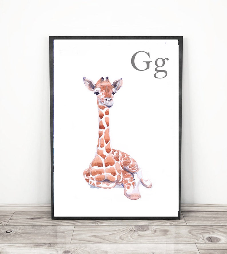 Animal Alphabet Cards ABC Flashcards Watercolor A-Z Flash - Etsy