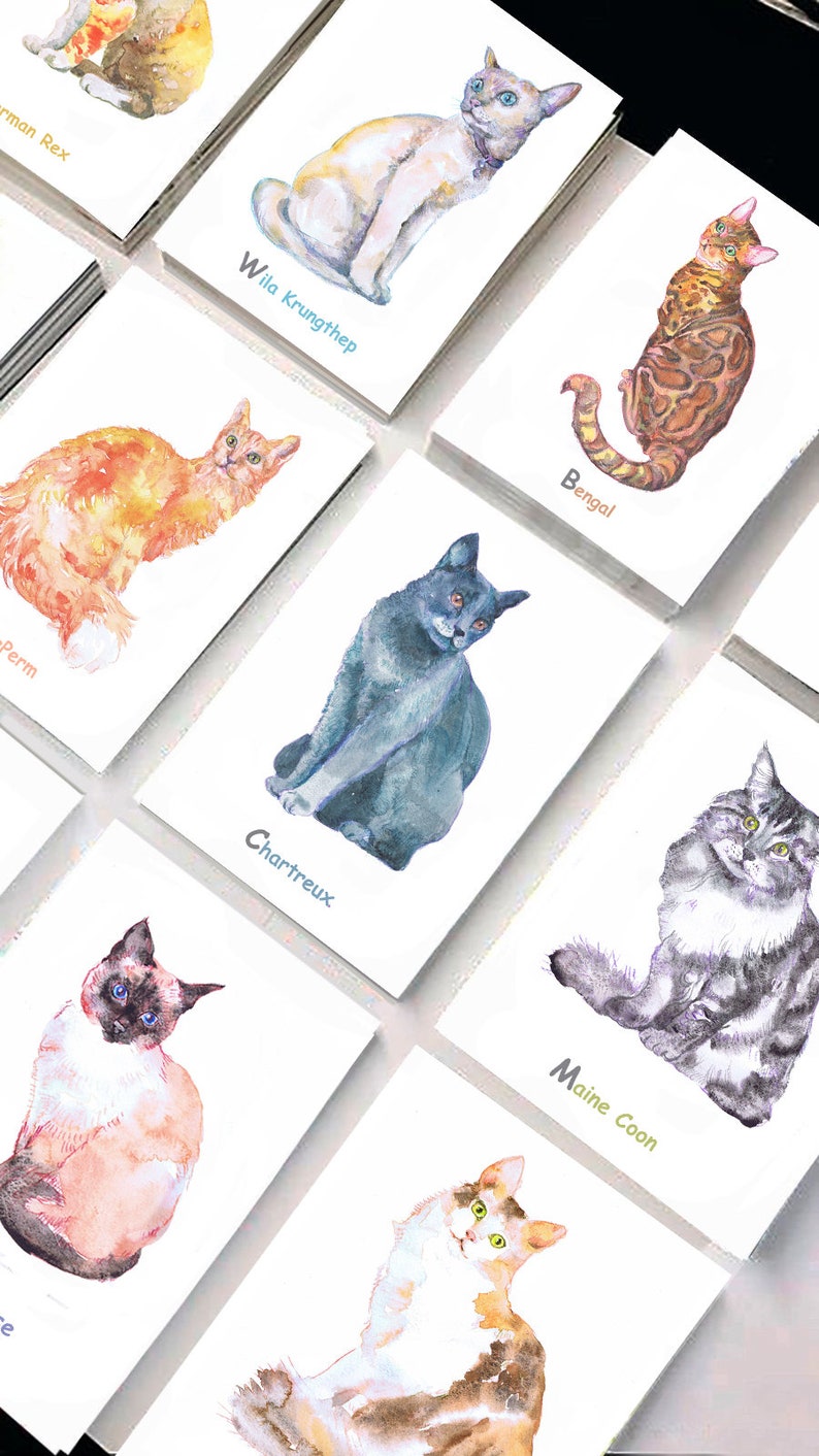 Cats Alphabet Cards Cat Breeds Cards Set Cat Painting - Etsy