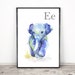 Animal Alphabet Cards ABC Flashcards Watercolor A-Z Flash - Etsy