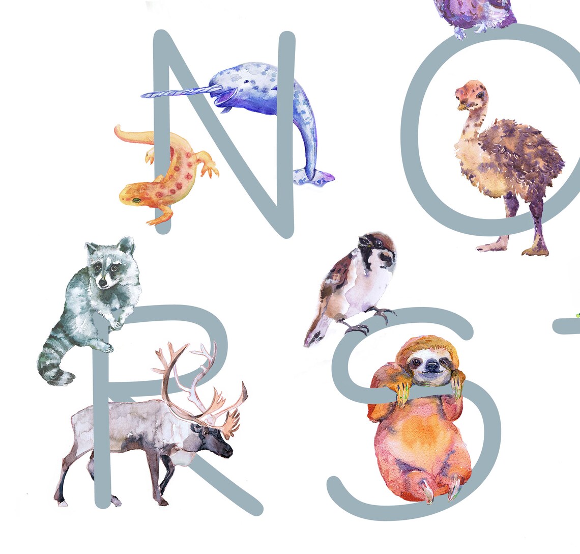 Animal Alphabet Poster Watercolor ABC Homeschool Chart | Etsy