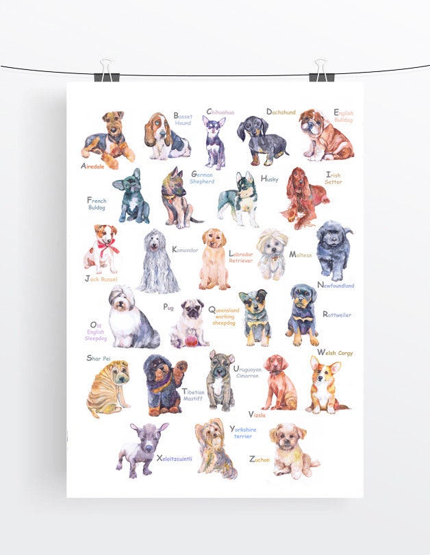 Dog Alphabet Poster ABC Animals Watercolor Alphabet Nursery Art ...