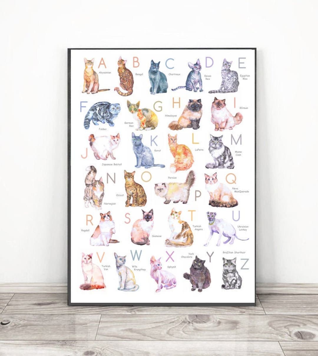 Cat Breeds Alphabet Poster: Watercolor Nursery Wall Art - Etsy UK