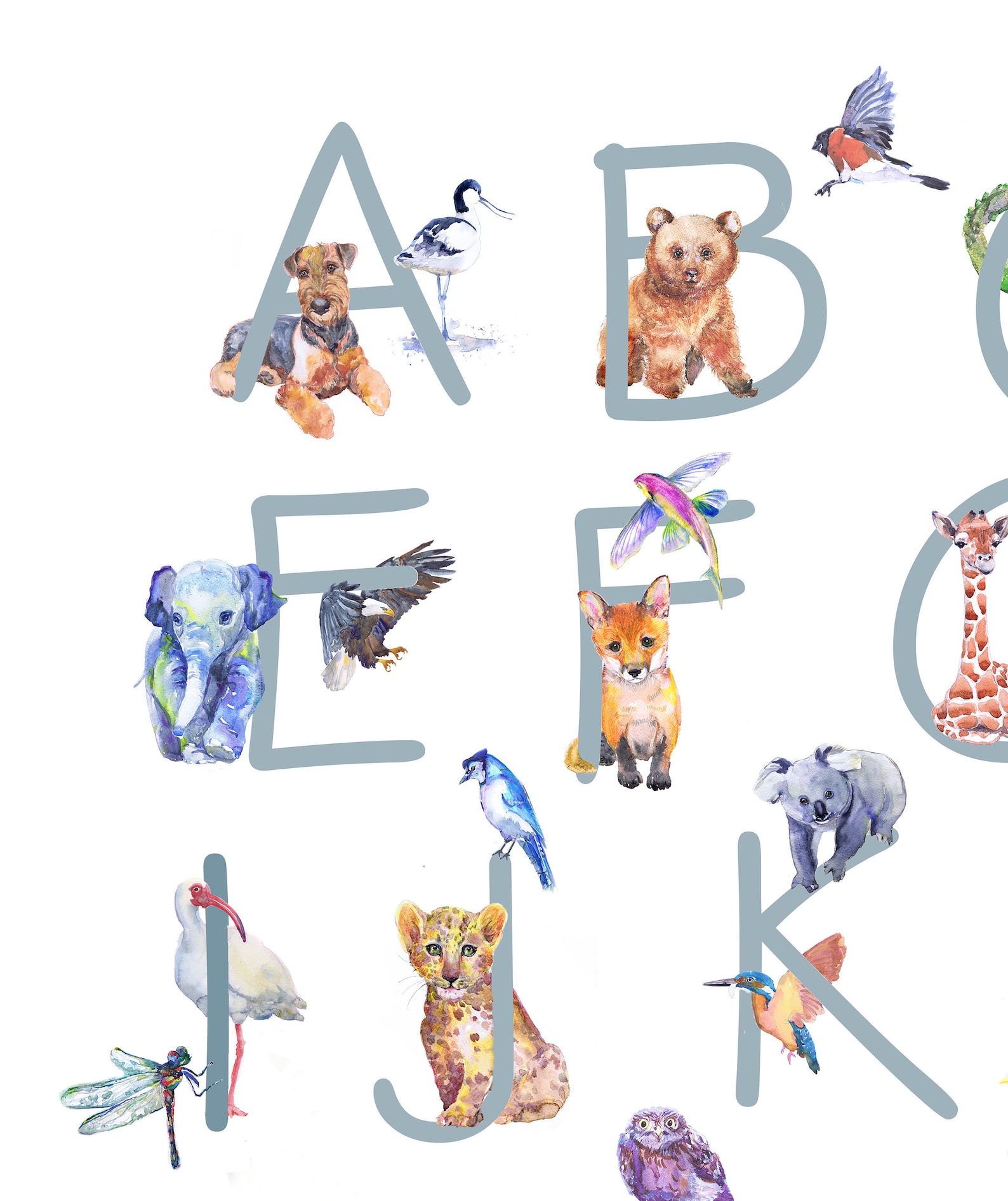 Animal Alphabet Poster Watercolor ABC Homeschool Chart - Etsy