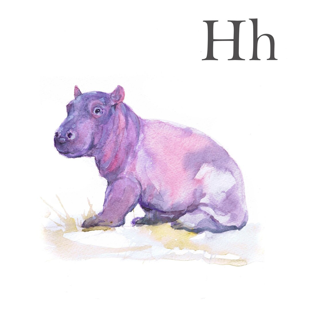 Custom Animal Alphabet Cards, ABC Flashcards Watercolor, A-Z Flash ...