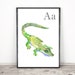 Animal Alphabet Cards ABC Flashcards Watercolor A-Z Flash - Etsy