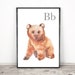 Animal Alphabet Cards ABC Flashcards Watercolor A-Z Flash - Etsy