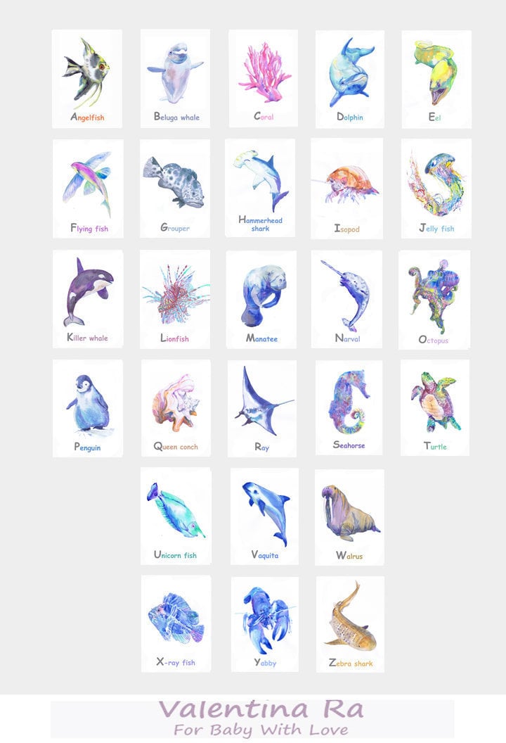 ABC Flash Cards Sea creatures Alphabet Ocean Animals | Etsy