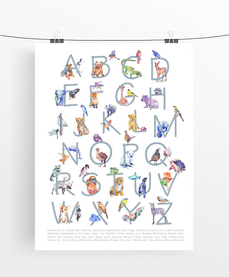 Animal Alphabet Poster Watercolor ABC Homeschool Chart | Etsy