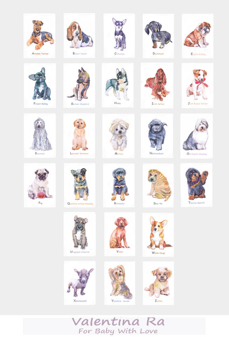ABC Flash Cards Dog Breeds Alphabet, Animals Watercolor Painting ...