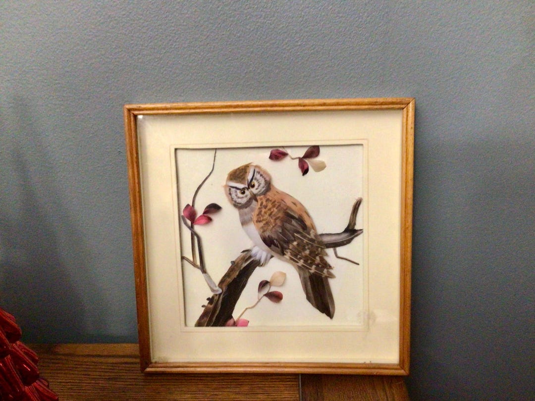 Vintage Square Owl Feather Puffed Shadow Box Picture Owl Wall Decor - Etsy