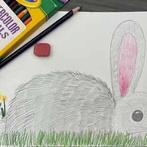 TEXTURE BUNNY Art Lesson by Art Teacher in LA- Art Lesson Plans ...
