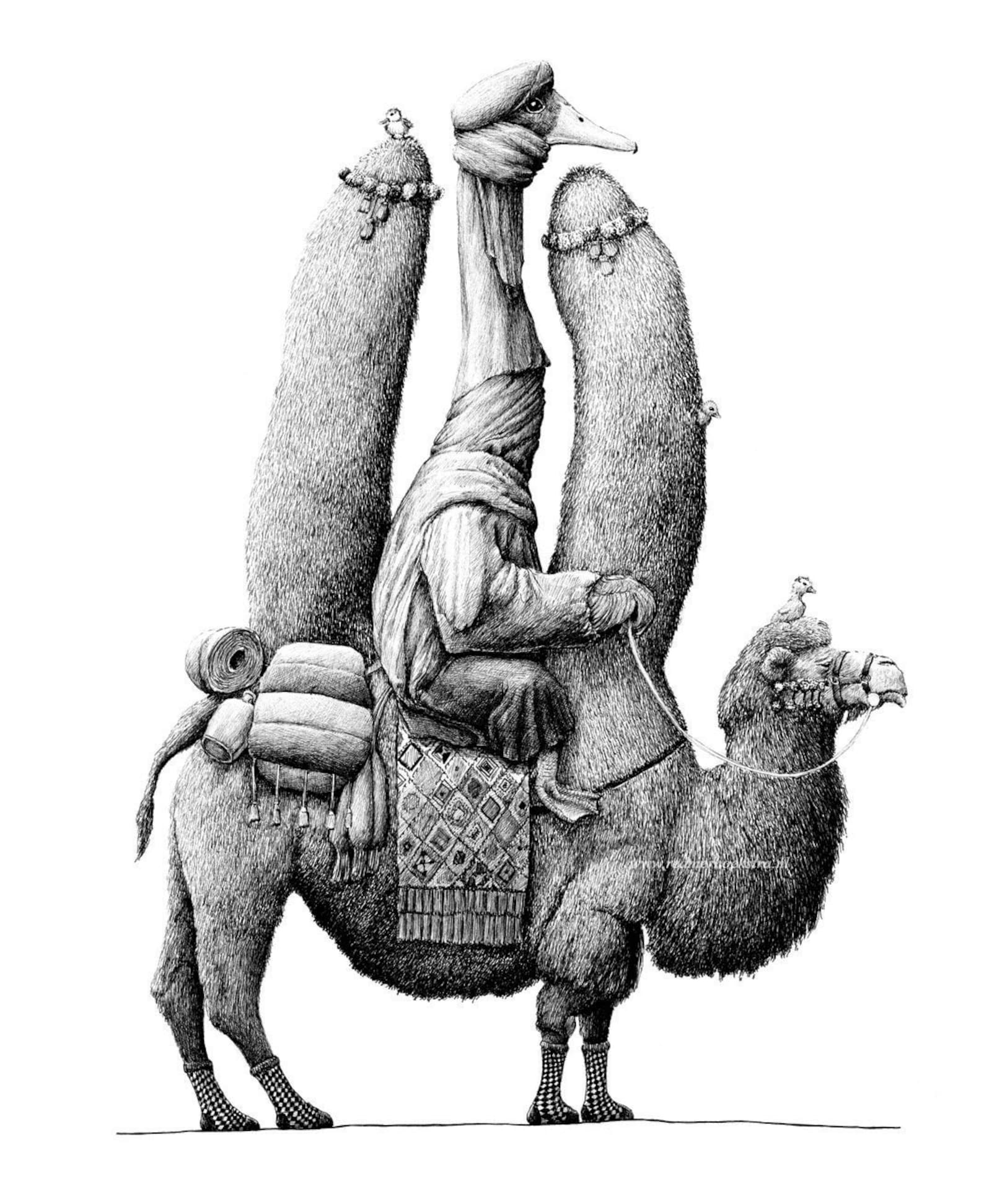 Postcard Duck Riding Camel - Etsy