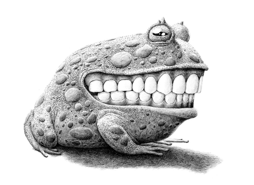 Postcard Smiling Frog - Etsy