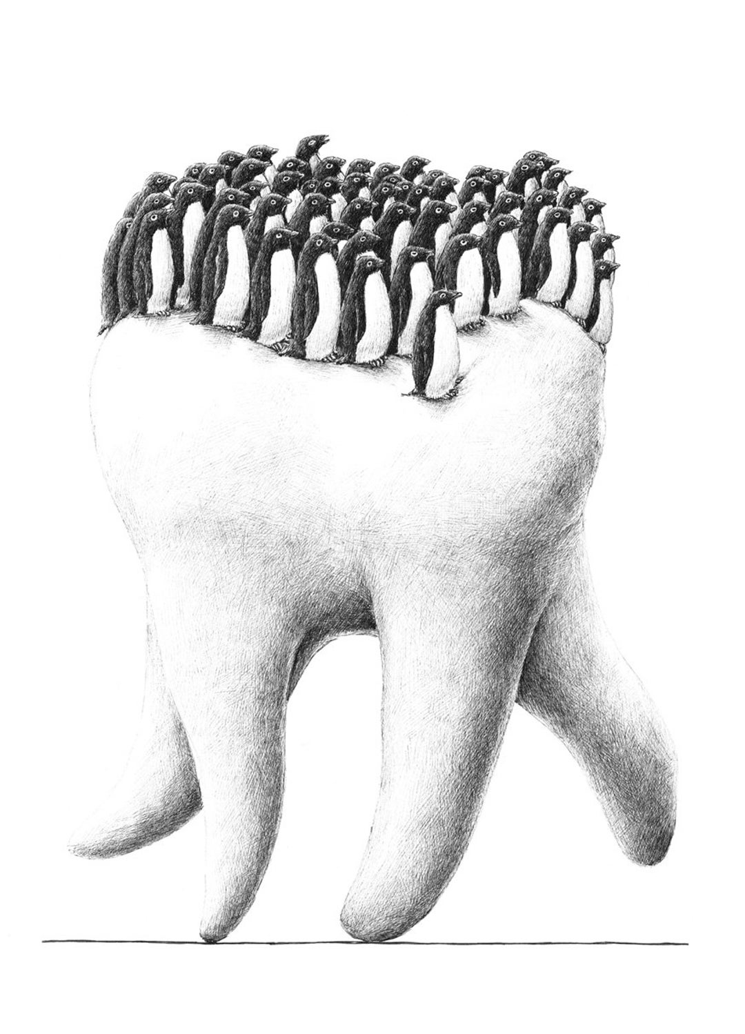 Postcard Penguins on a Tooth - Etsy