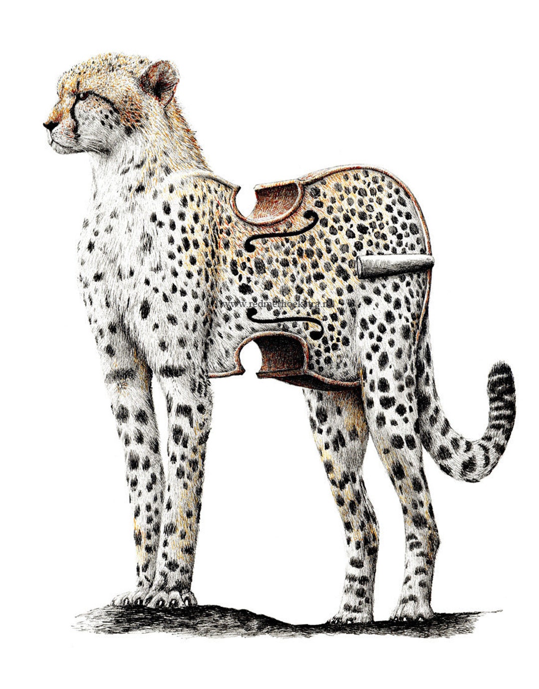 Postcard Cheetah - Etsy