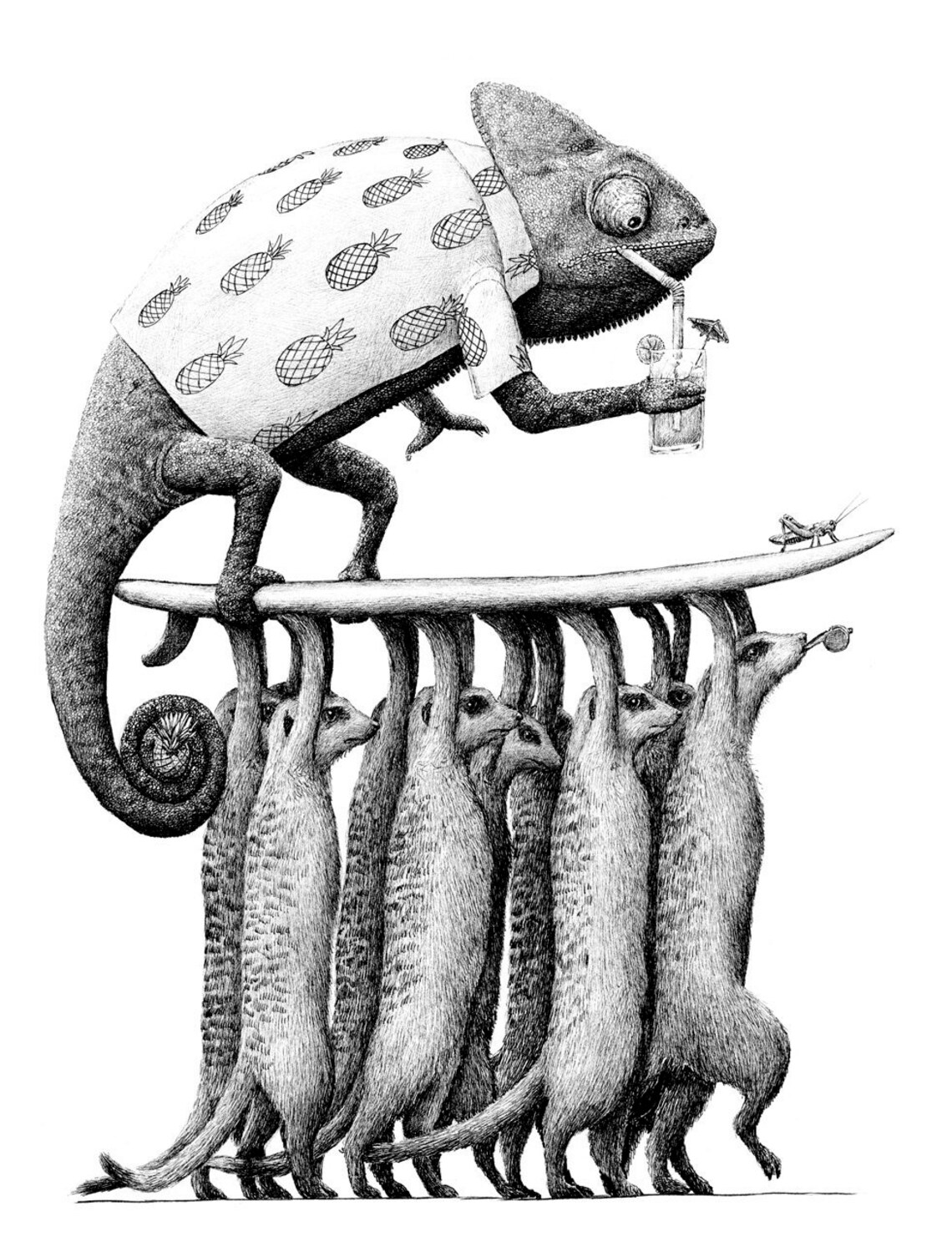 Postcard Surfing Chameleon - Etsy
