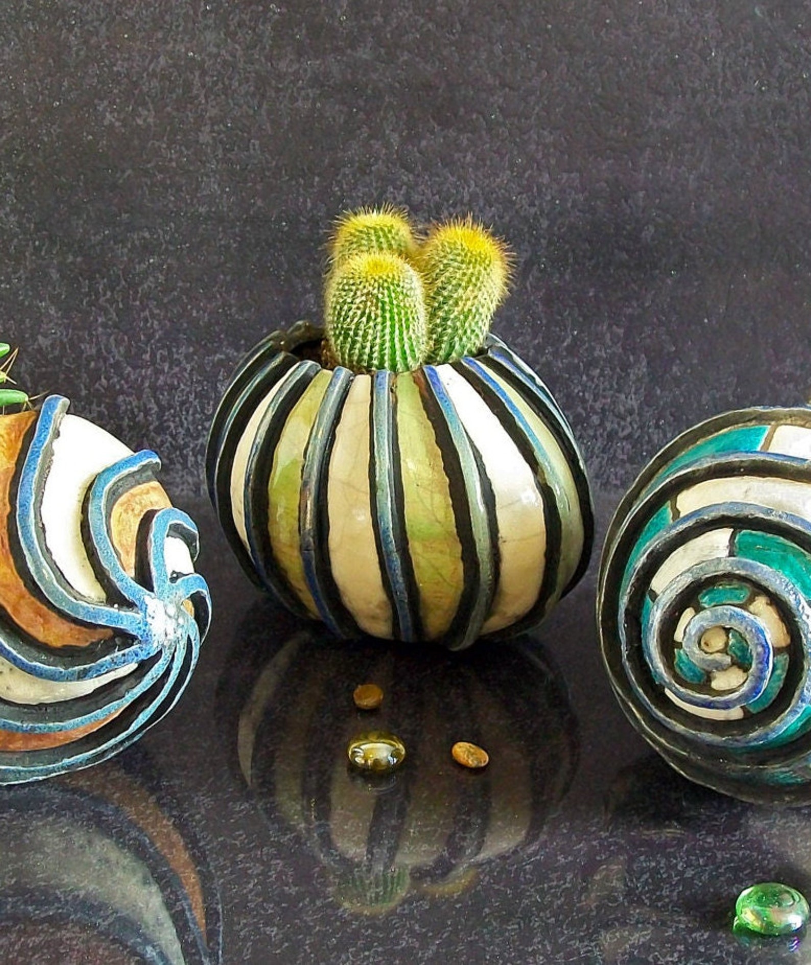 Ceramic Sea Shell Planter Pot House of Hermit Crab White and - Etsy