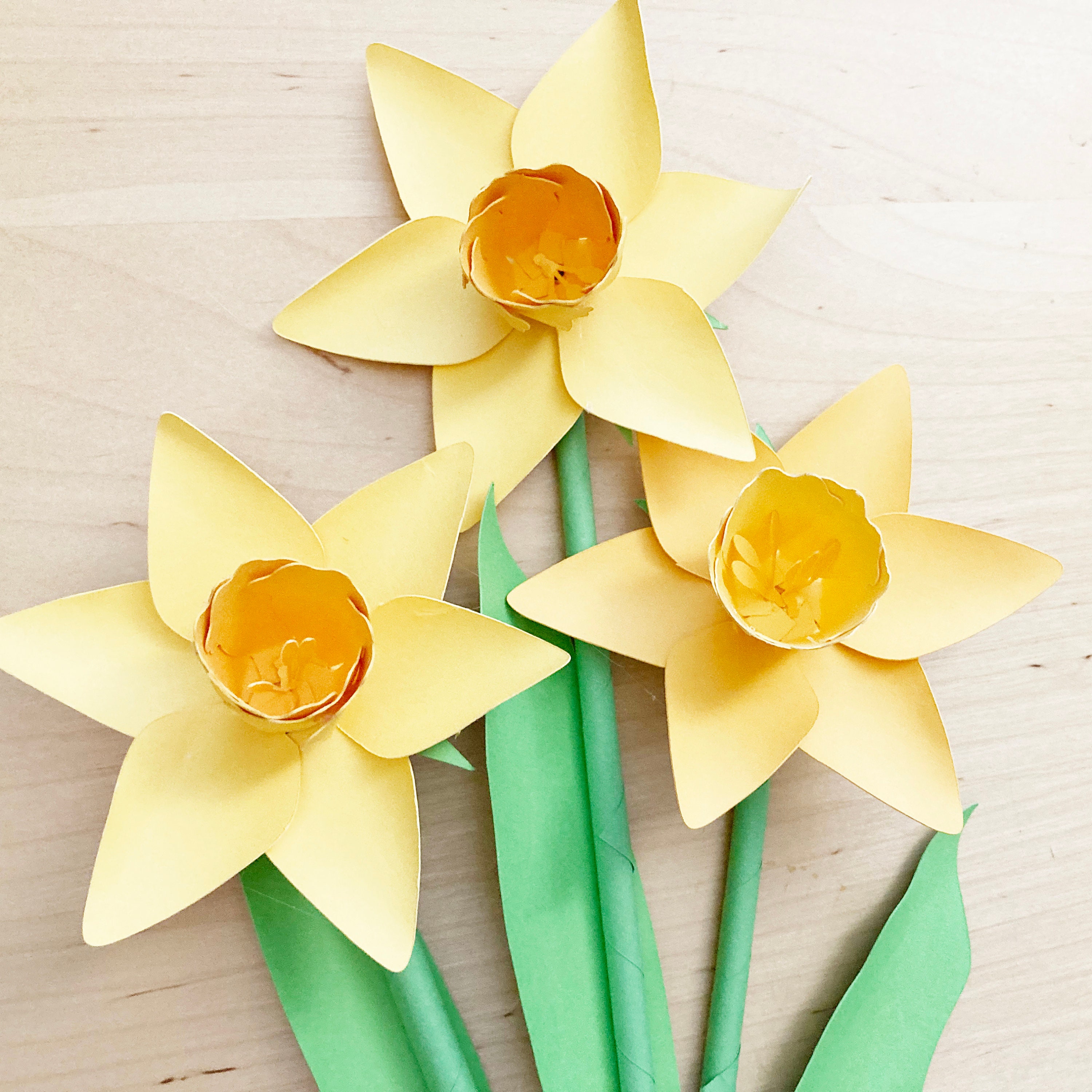 daffodils-flower-svg-paper-flower-template-etsy