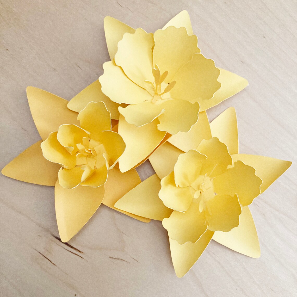 daffodils-flower-svg-paper-flower-template-etsy
