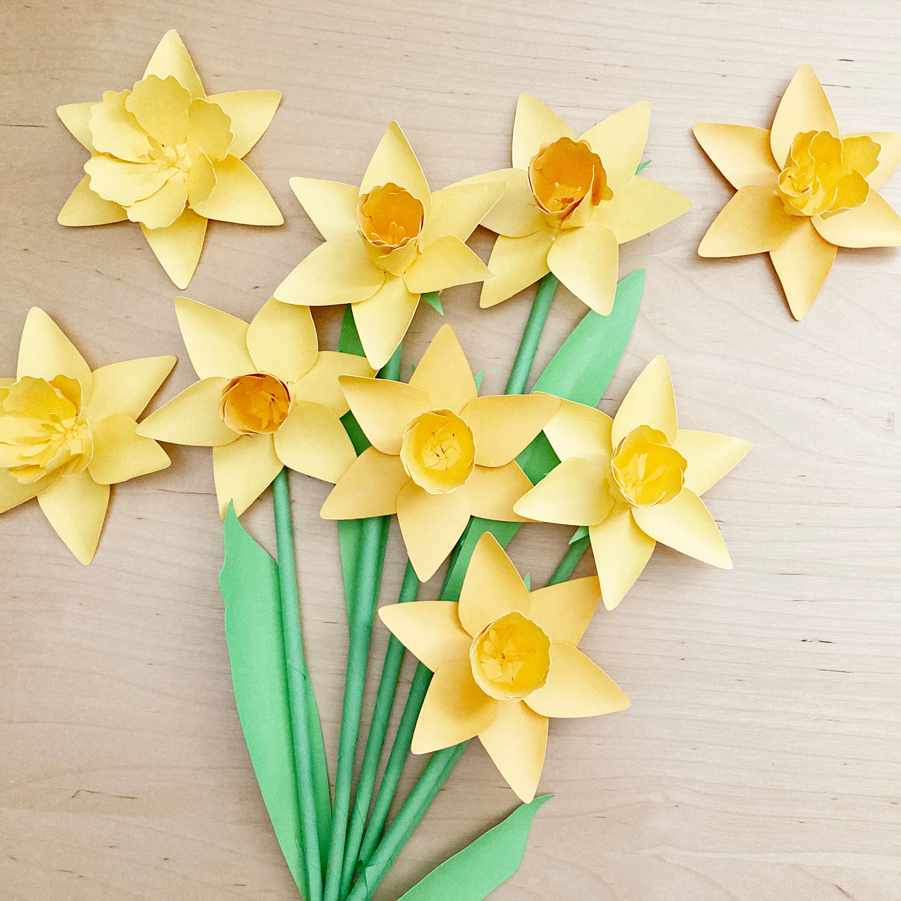 Daffodils Flower SVG Paper Flower Template Etsy Daffodils Flower SVG Paper Flower Template Etsy