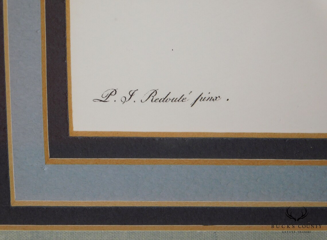 Redouté Iris Luxiana Art Print on Paper Framed | Etsy