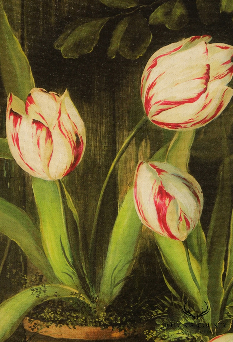 Vintage Dutch Style Tulip Fine Art Print - Etsy