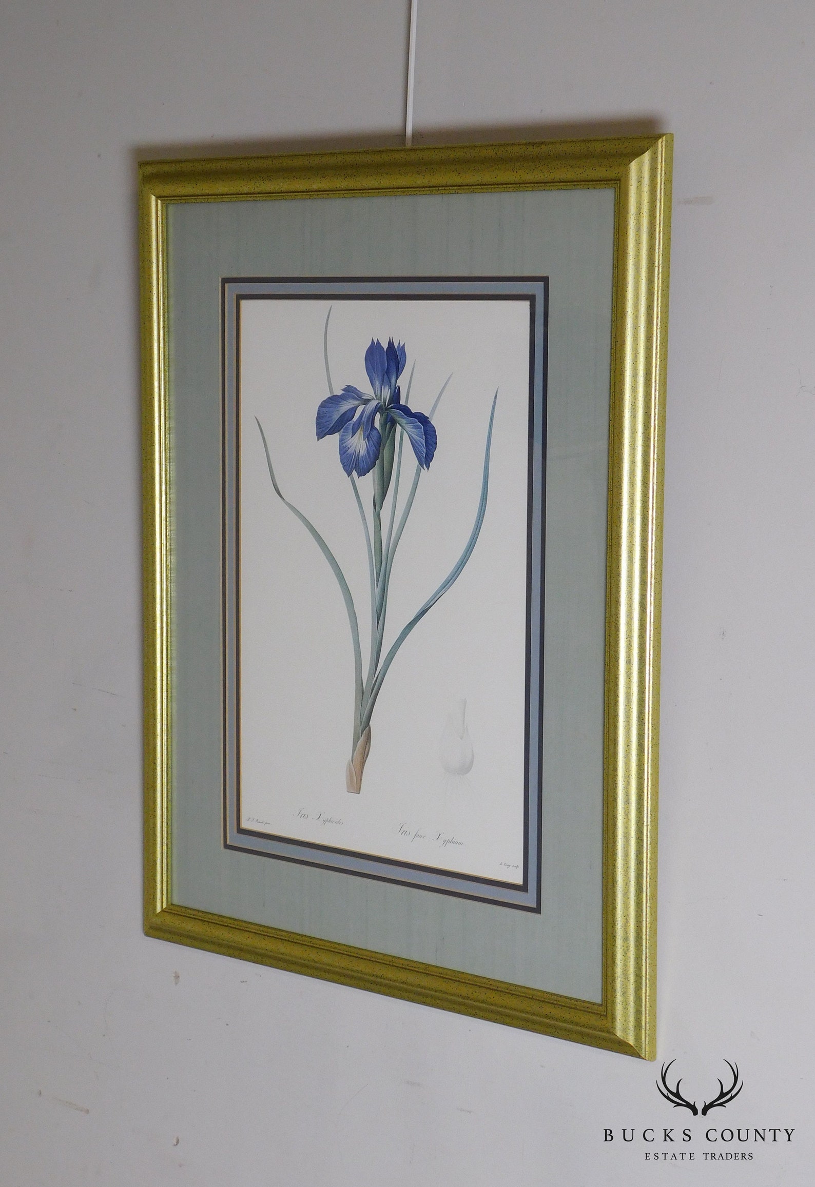 Redouté Iris Luxiana Art Print on Paper Framed | Etsy