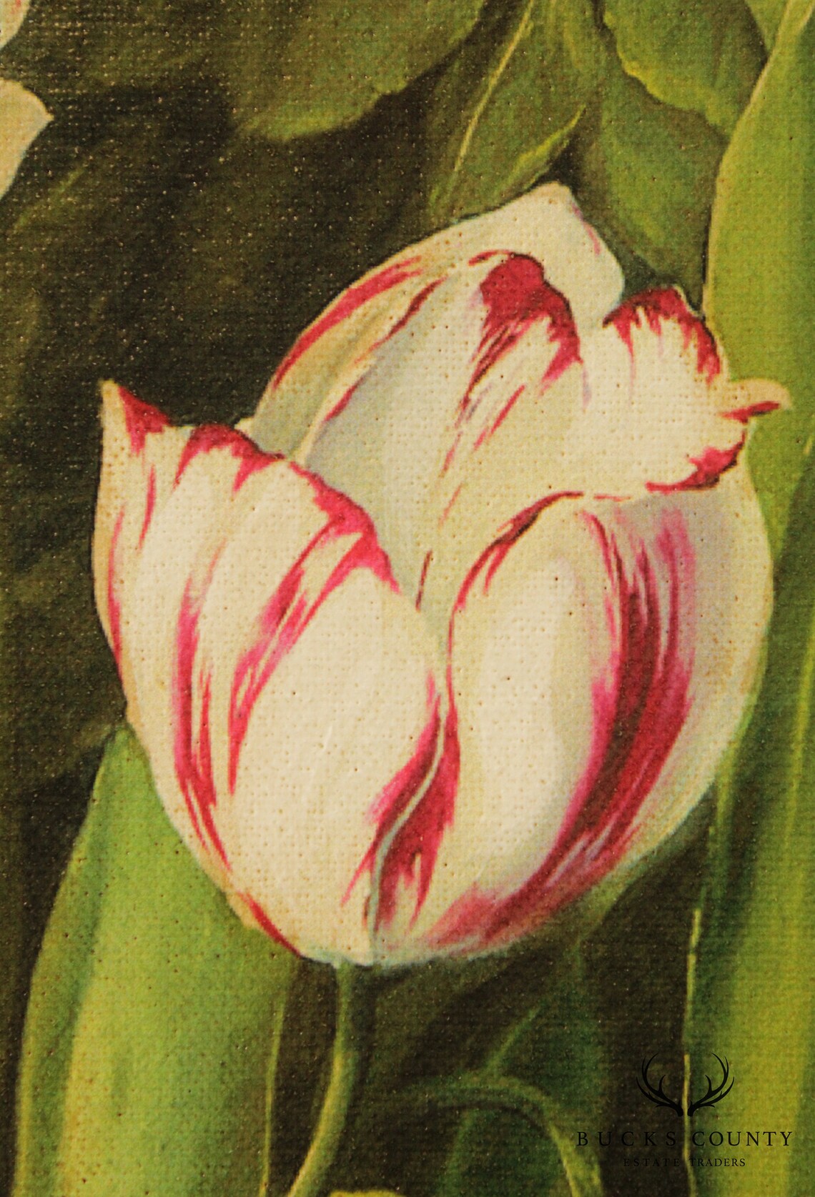 Vintage Dutch Style Tulip Fine Art Print - Etsy