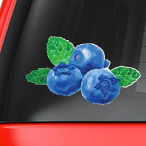 Blueberry Fruit Berry Vinyl Sticker Cute Watercolor Botanical | Etsy