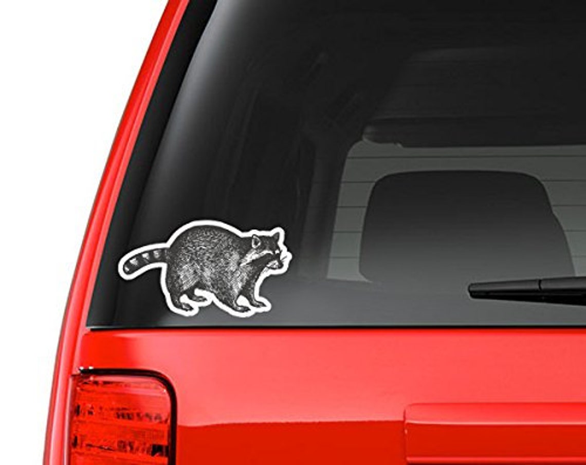 Raccoon Pencil Drawn Full Color Vinyl Decal for Car Macbook | Etsy