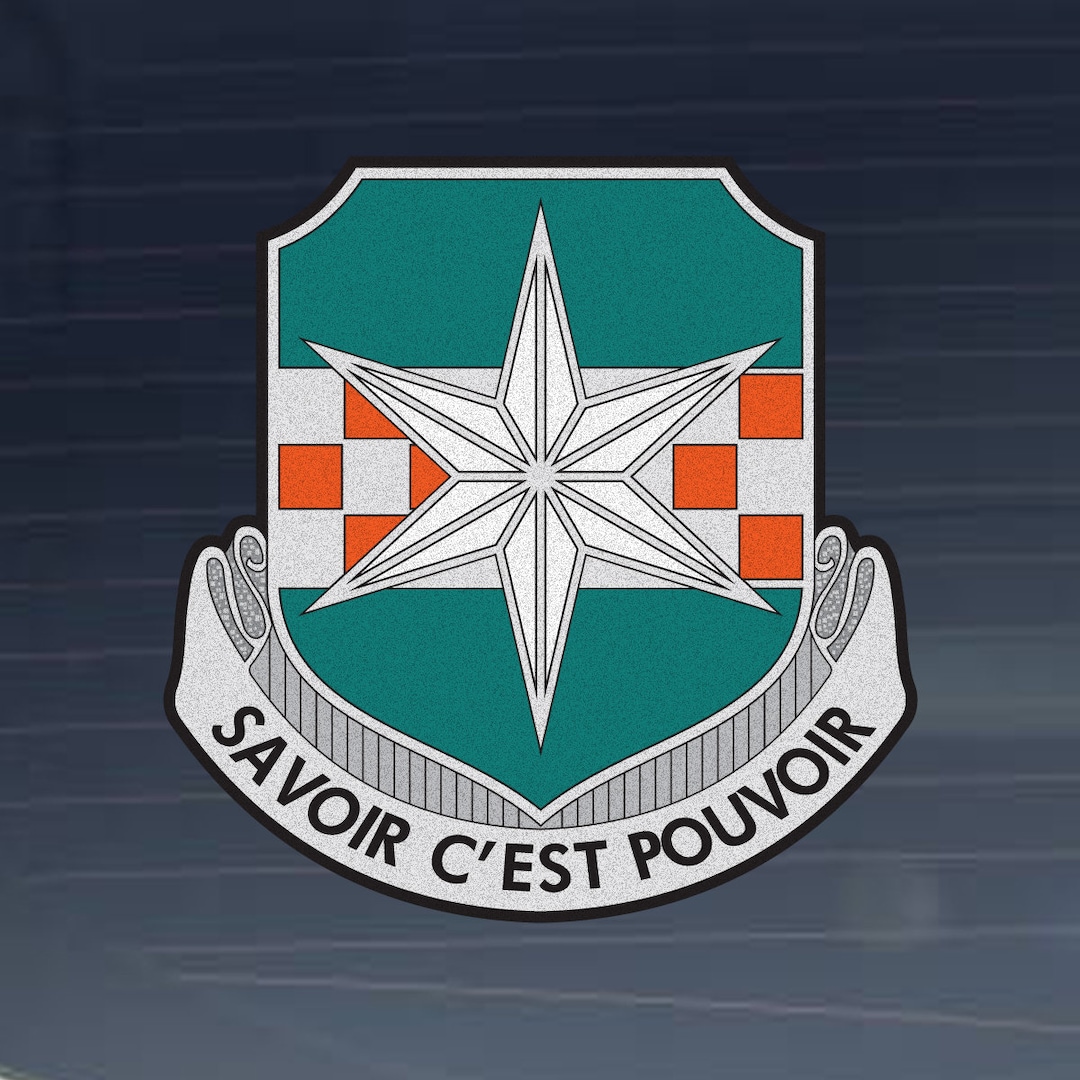 US Army Division - 313th Military Intelligence Btn DUI Reflective ...