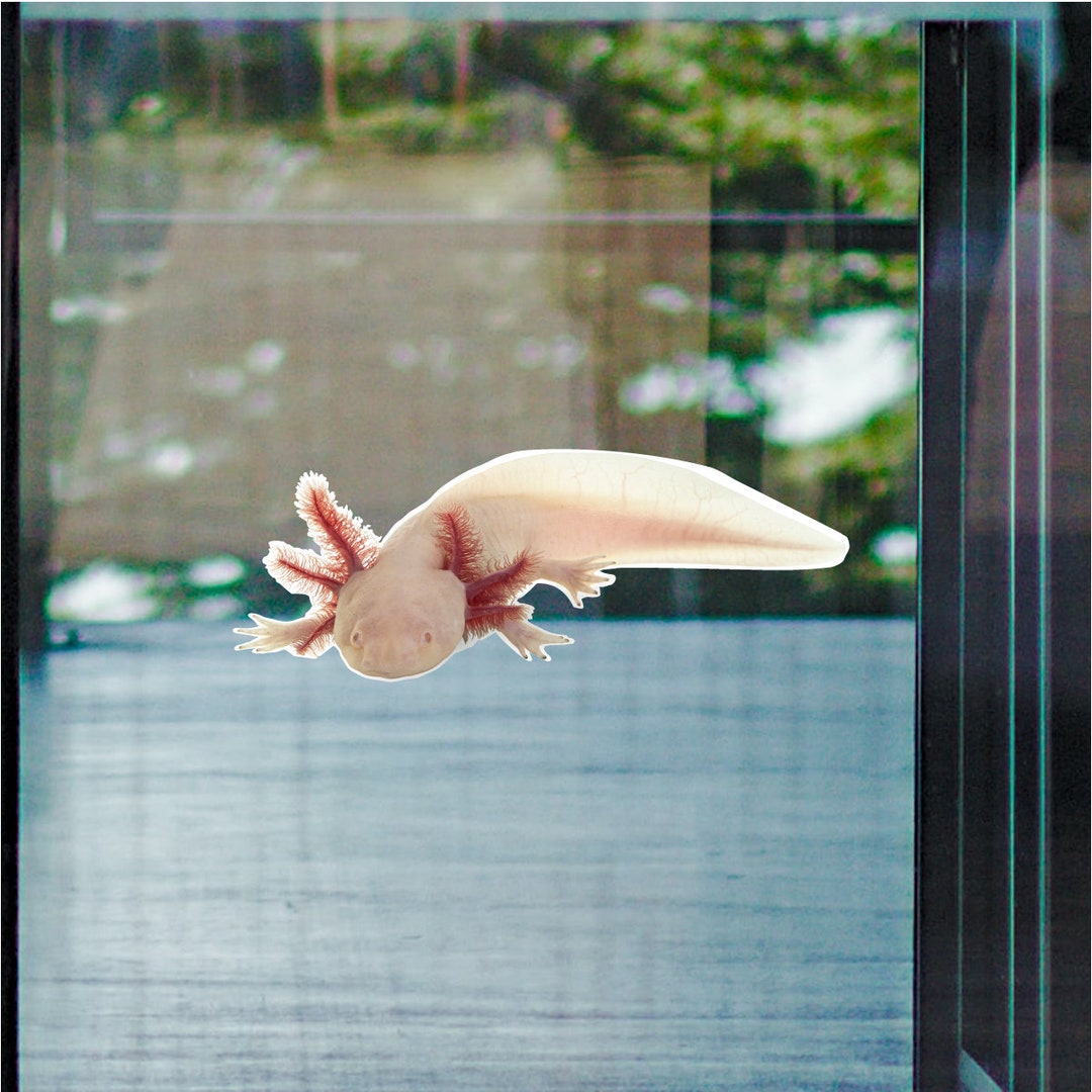 Axolotl Float - Vinyl Static Full Color Cling - Etsy