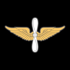 US Army Division - Aviation Branch Emblem Reflective Indoor Outdoor ...