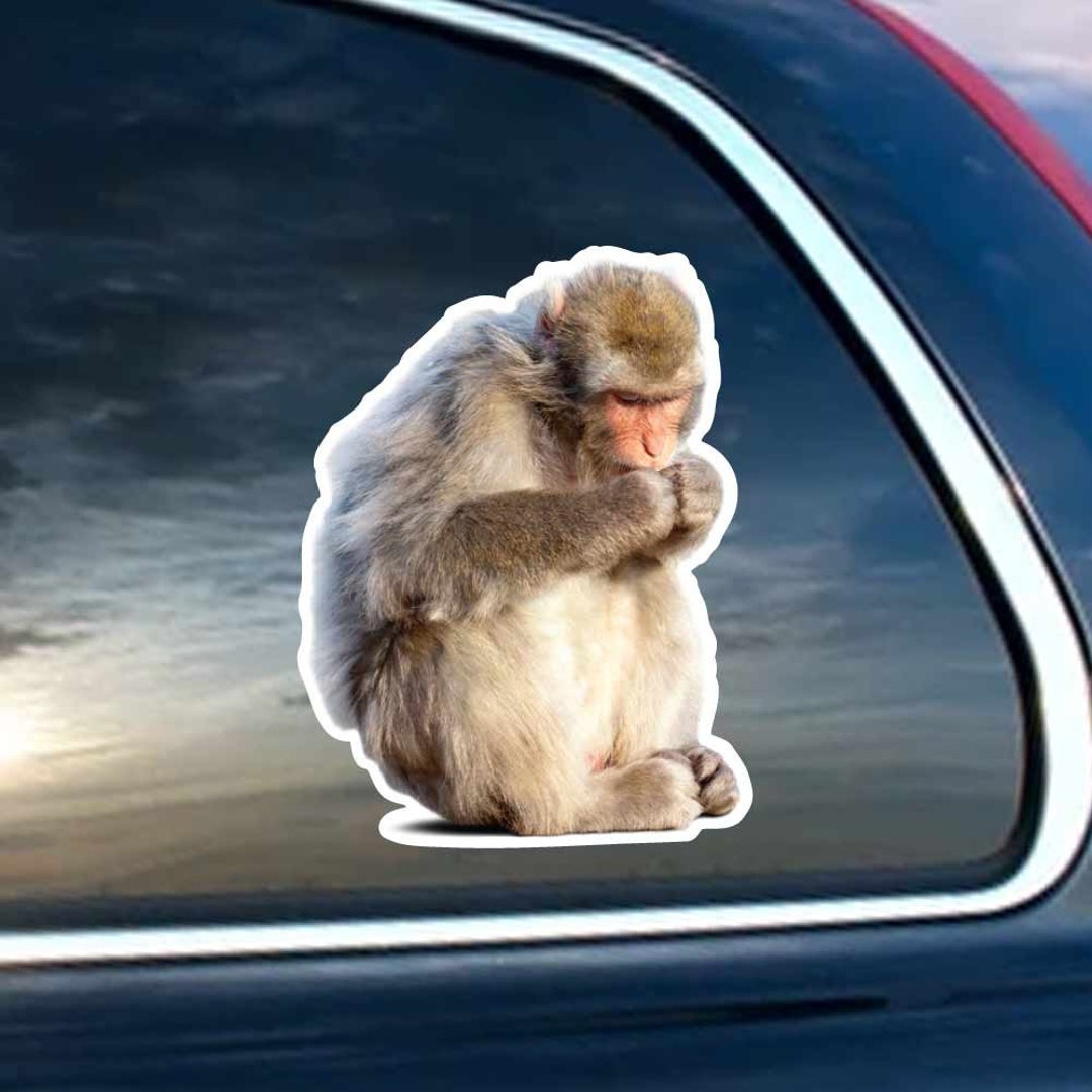 Macaque Monkey - Vinyl Decal for Laptop, Windows, Glass and Cars ...