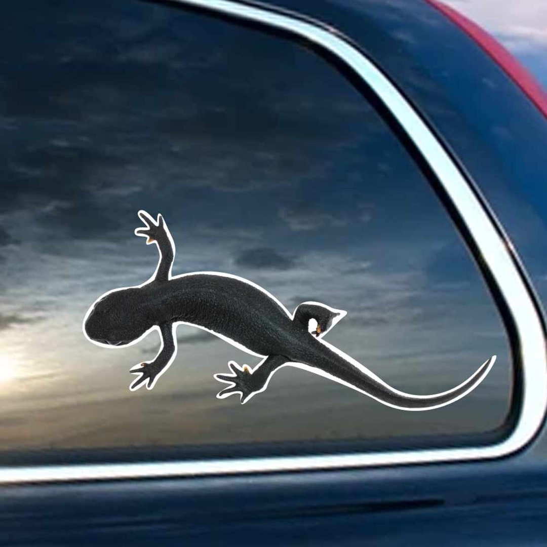 Black Salamander- Vinyl Decal for Laptop, Windows, Glass and Cars ...